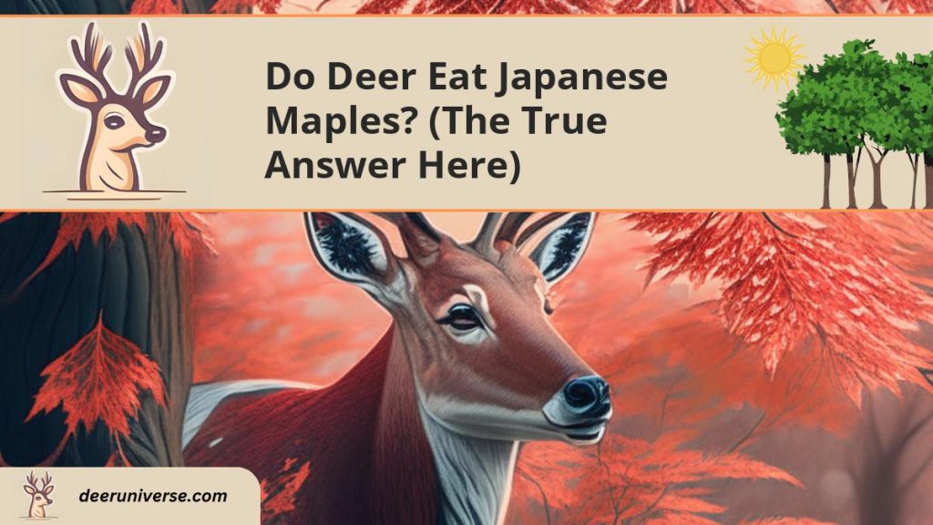 Do Deer Eat Japanese Maples? (The TRUE Answer Here) - Deer Universe